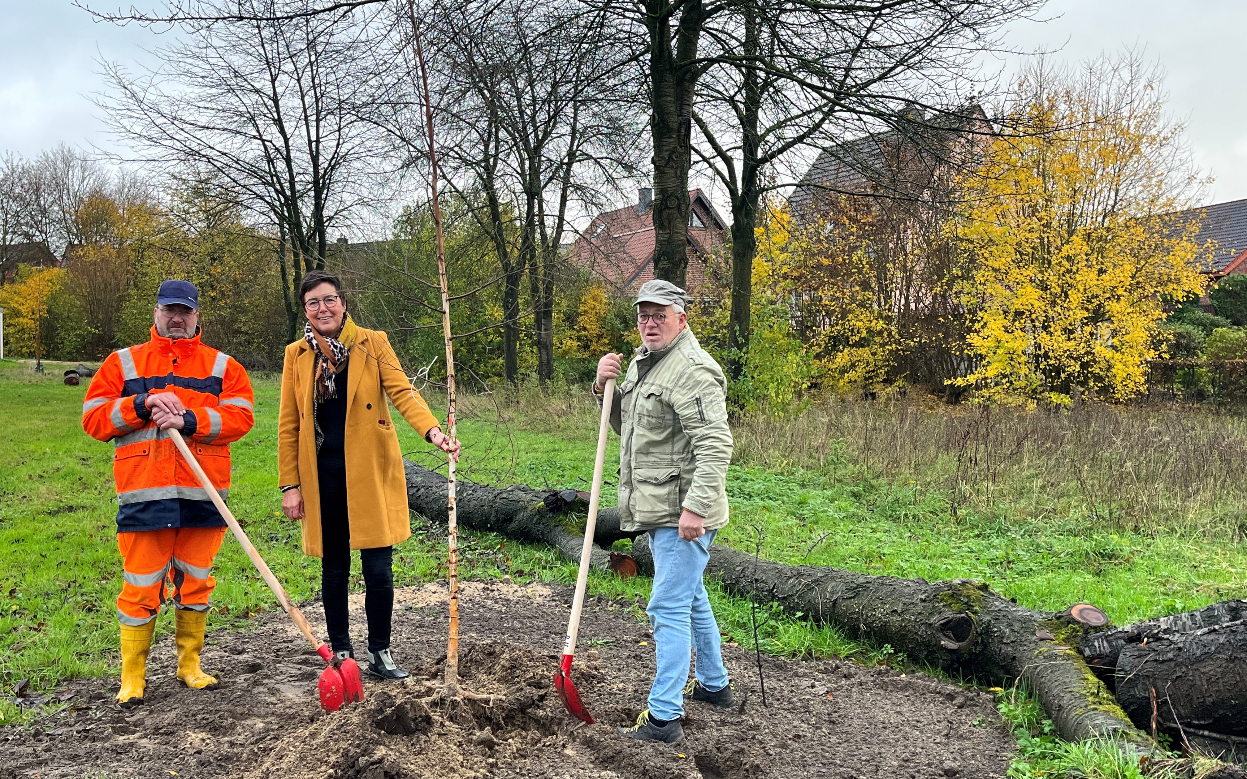 Baum des Jahres 2023 gepflanzt